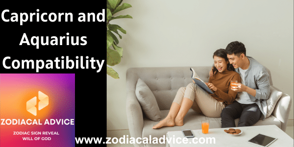 Capricorn and Aquarius Compatibility: Harmoney, Love and More ...